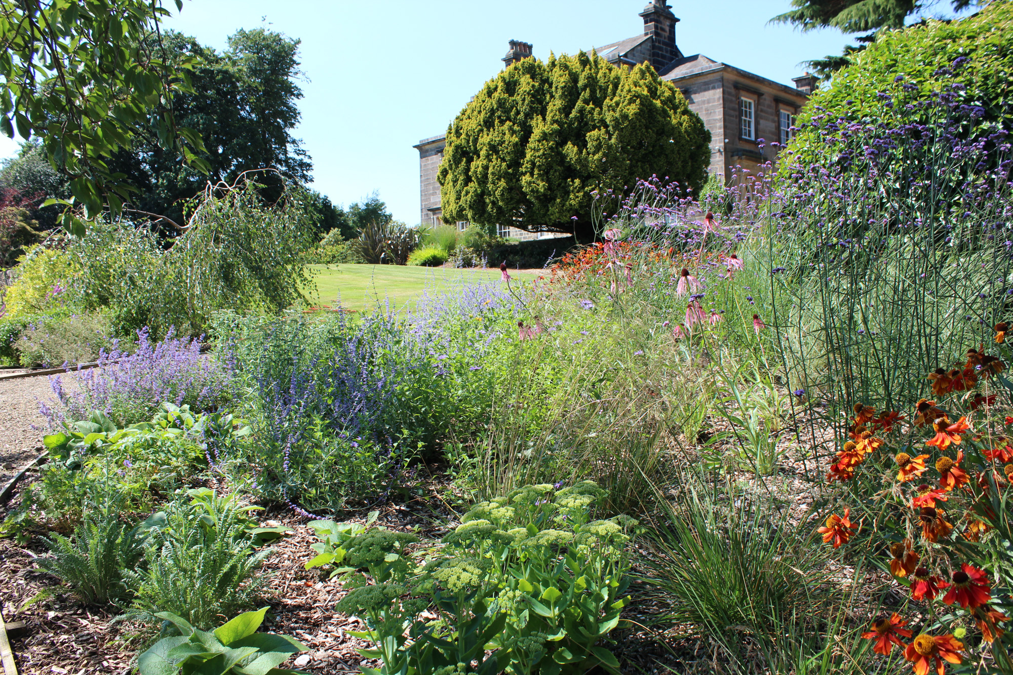 Home - Thomas Carlin