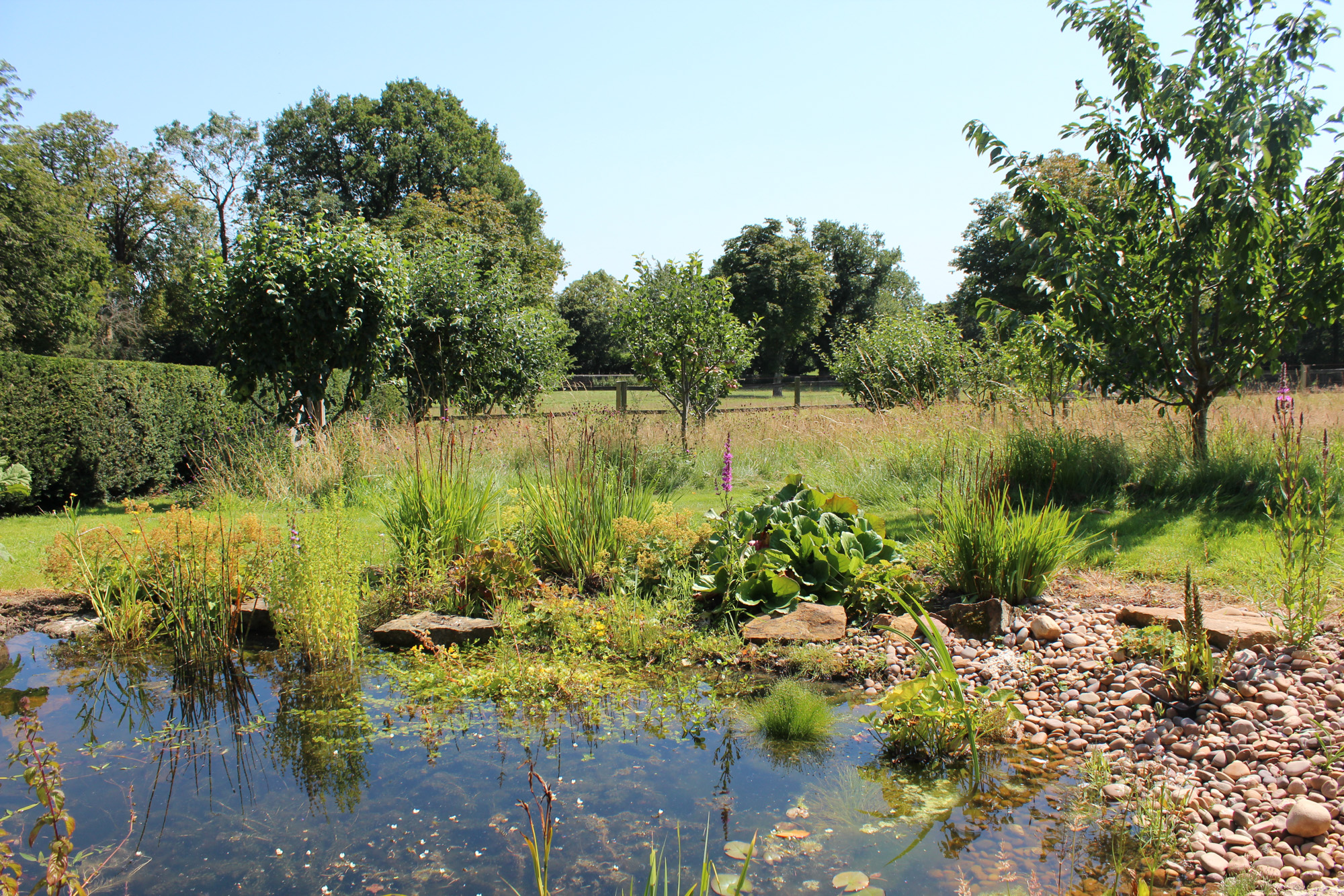 Home - Thomas Carlin