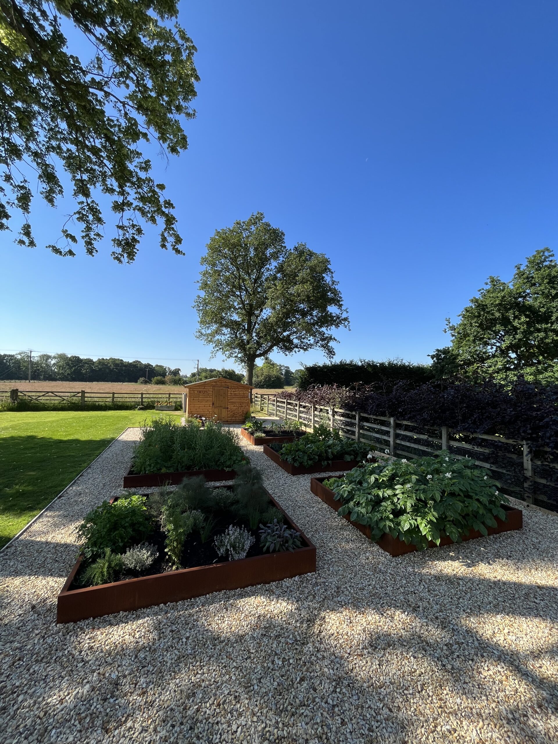 Home - Thomas Carlin